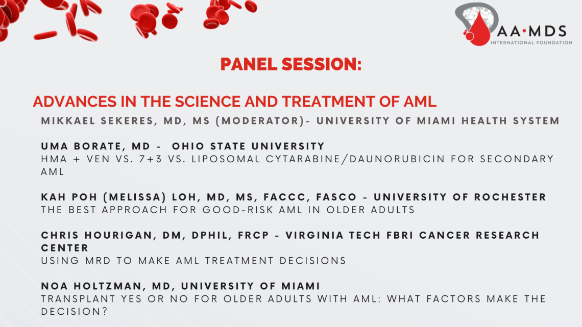 2025 AAMDSIF Bone Marrow Failure Summit Acute Myeloid Leukemia Expert Panel | Aplastic Anemia ...